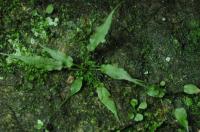 국립생물자원관 한반도의 생물다양성