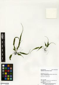 국립생물자원관 한반도의 생물다양성