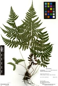 국립생물자원관 한반도의 생물다양성