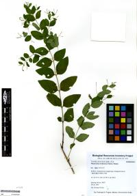 국립생물자원관 한반도의 생물다양성