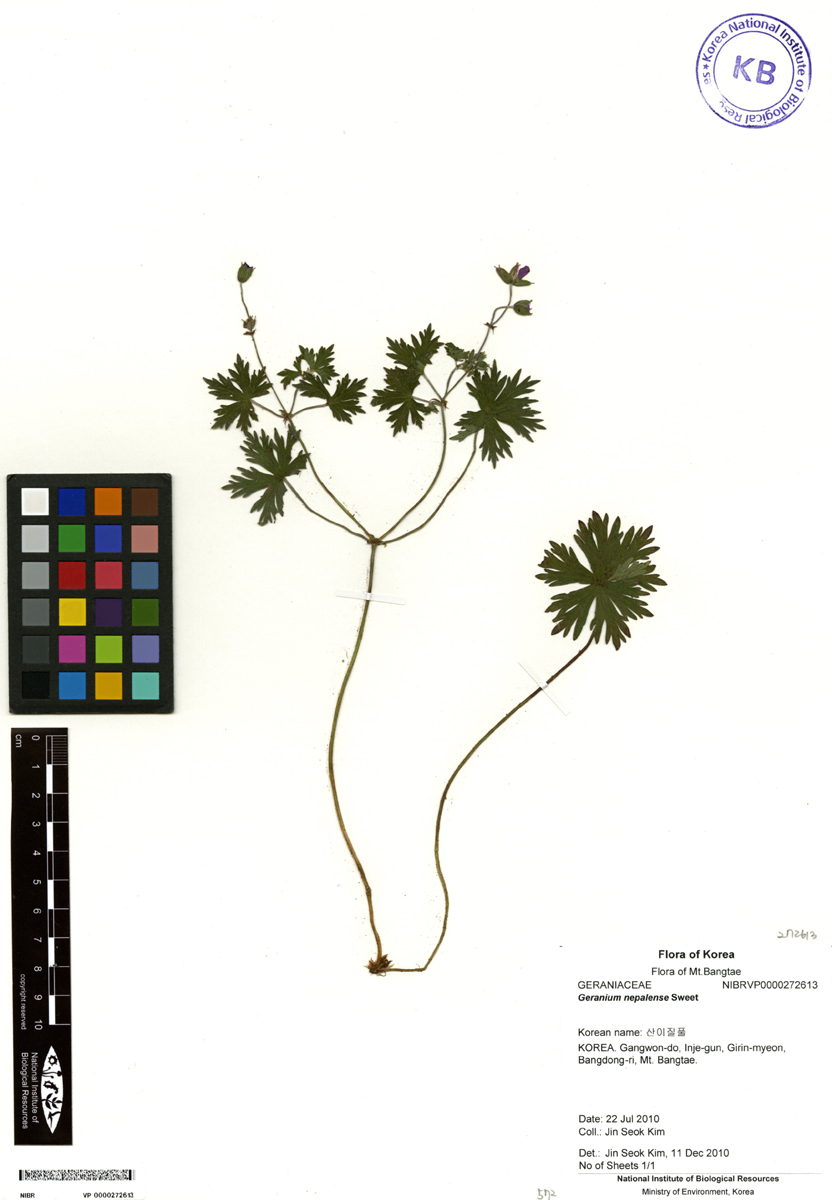 국립생물자원관 한반도의 생물다양성