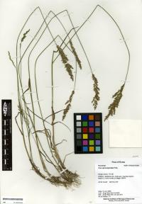 국립생물자원관 한반도의 생물다양성