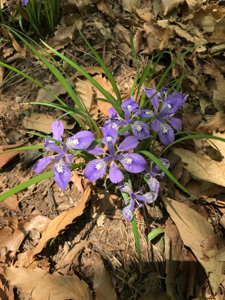 국립생물자원관 한반도의 생물다양성