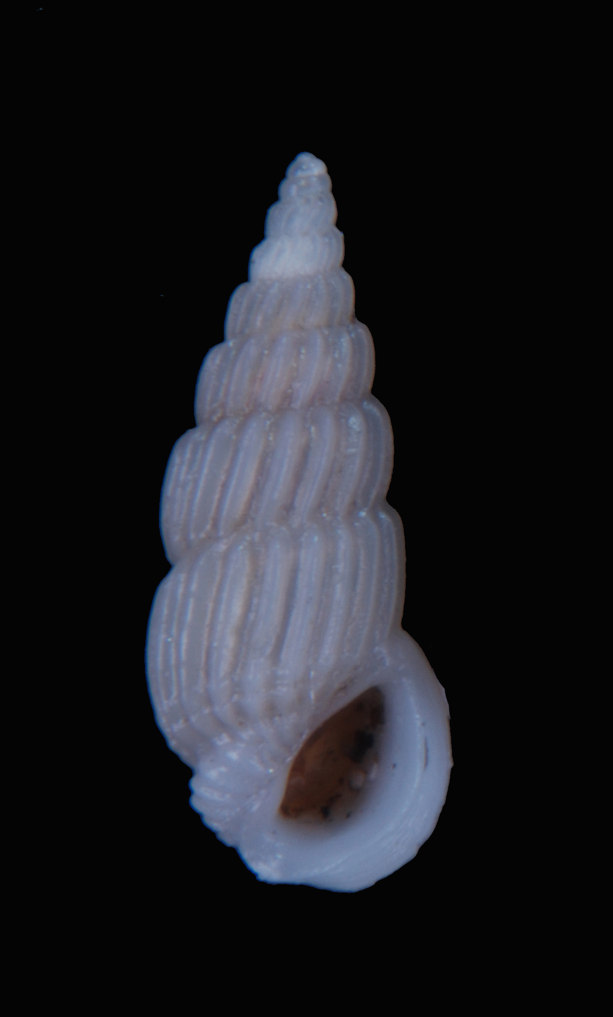 국립생물자원관 한반도의 생물다양성