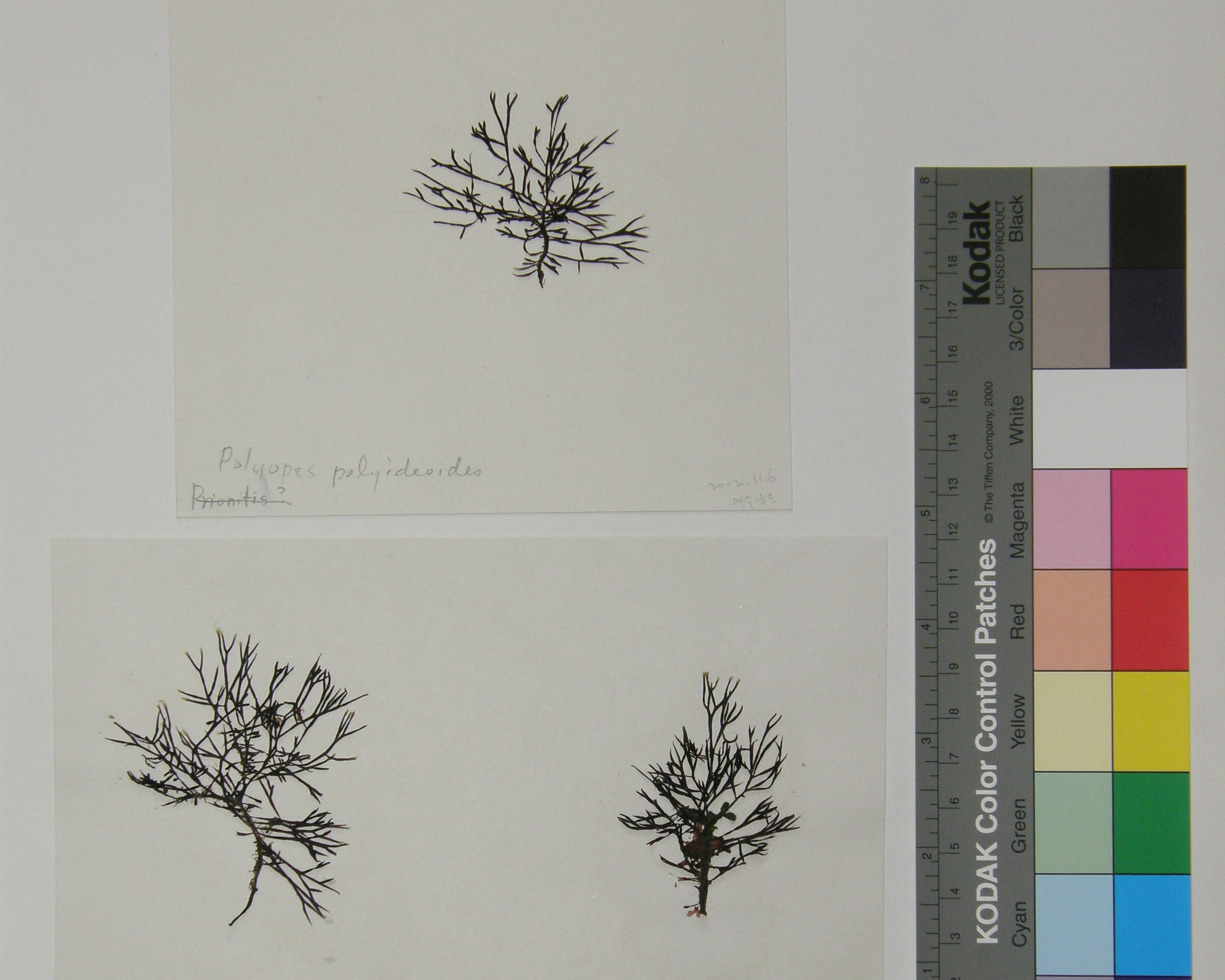 국립생물자원관 한반도의 생물다양성