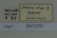 국립생물자원관 한반도의 생물다양성