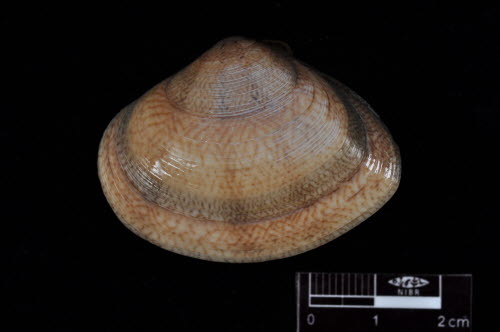 국립생물자원관 한반도의 생물다양성