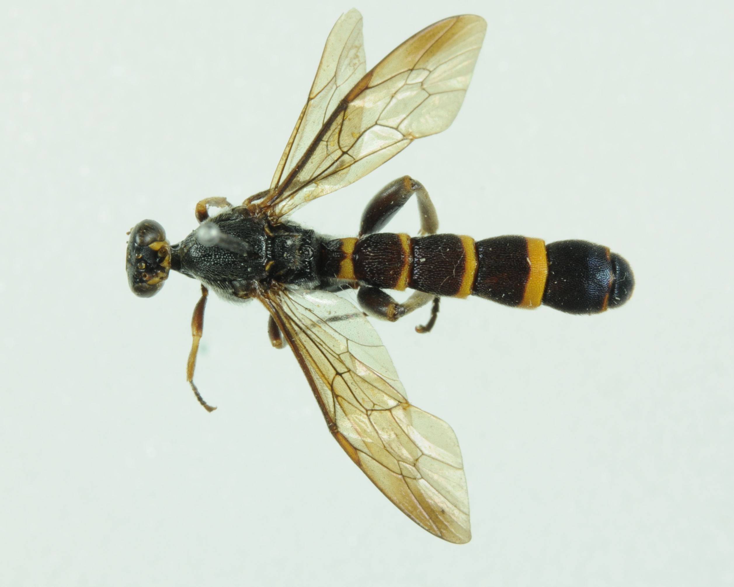 국립생물자원관 한반도의 생물다양성