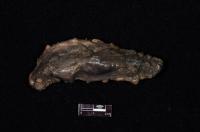 국립생물자원관 한반도의 생물다양성