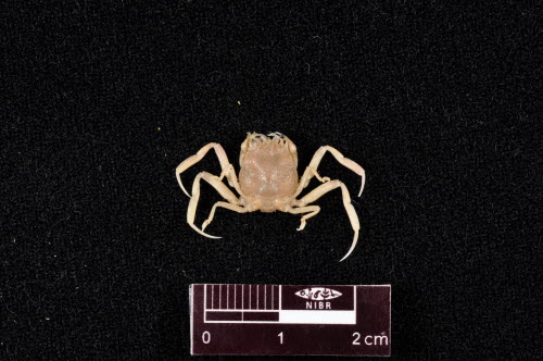 국립생물자원관 한반도의 생물다양성