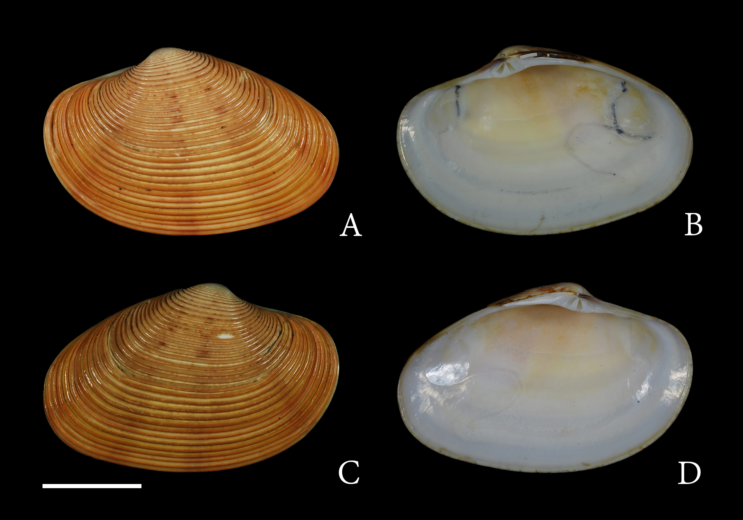 국립생물자원관 한반도의 생물다양성