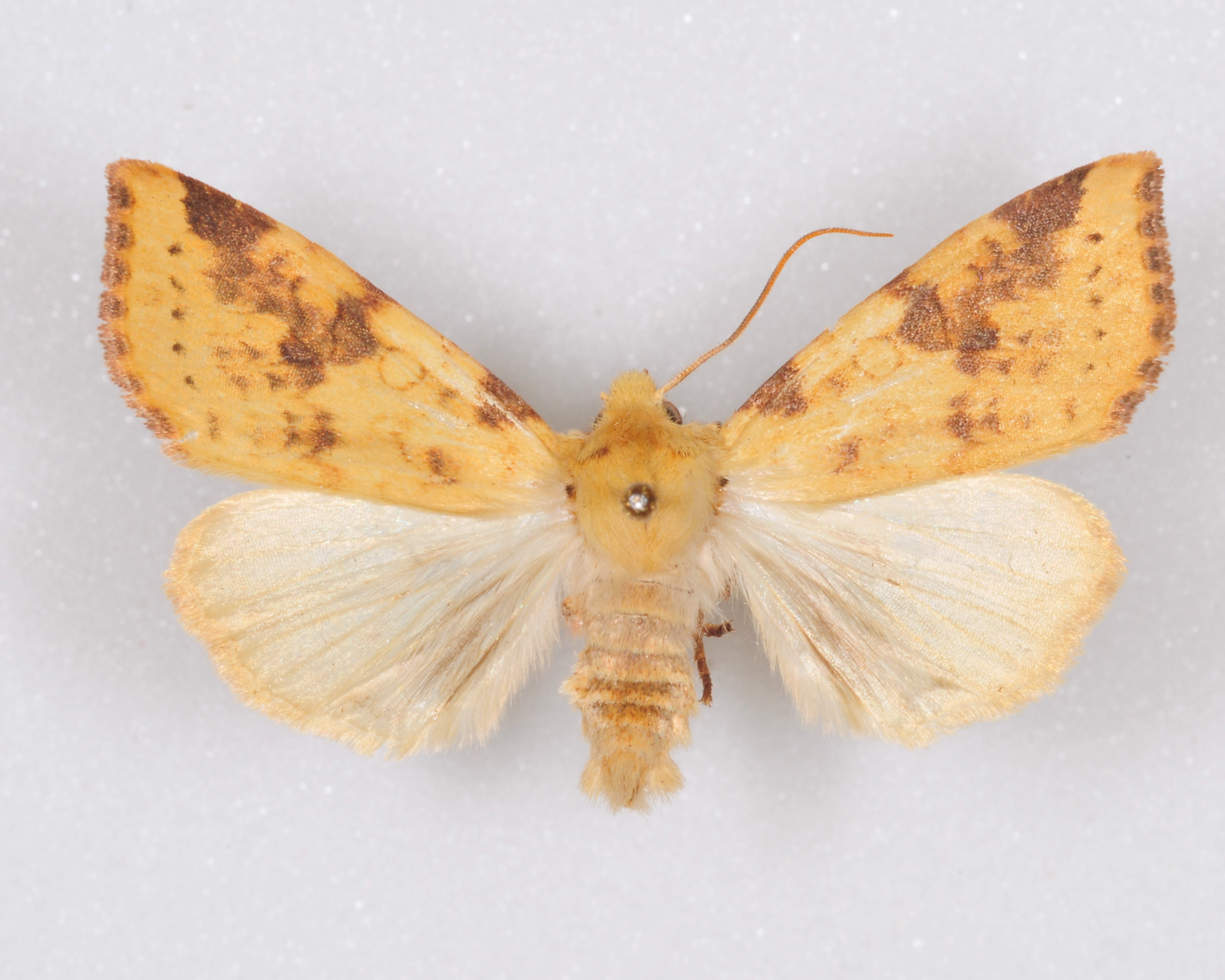 국립생물자원관 한반도의 생물다양성