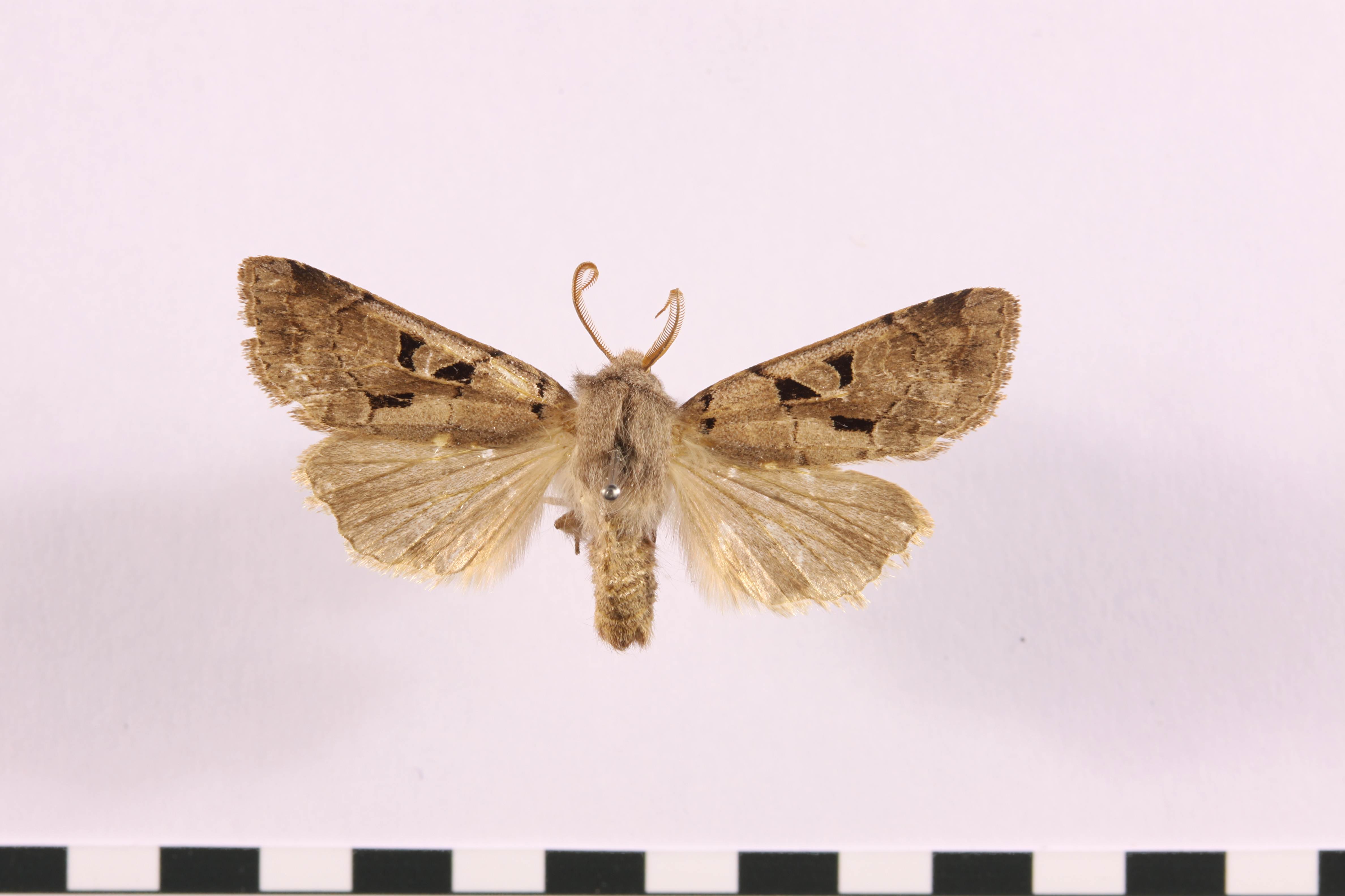 국립생물자원관 한반도의 생물다양성