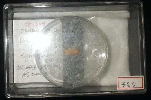 국립생물자원관 한반도의 생물다양성