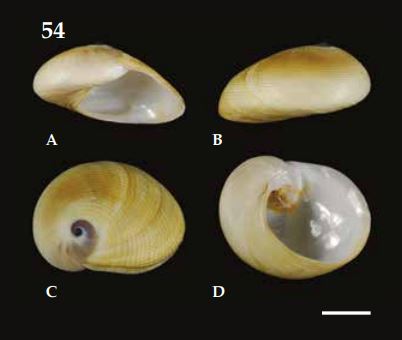 국립생물자원관 한반도의 생물다양성