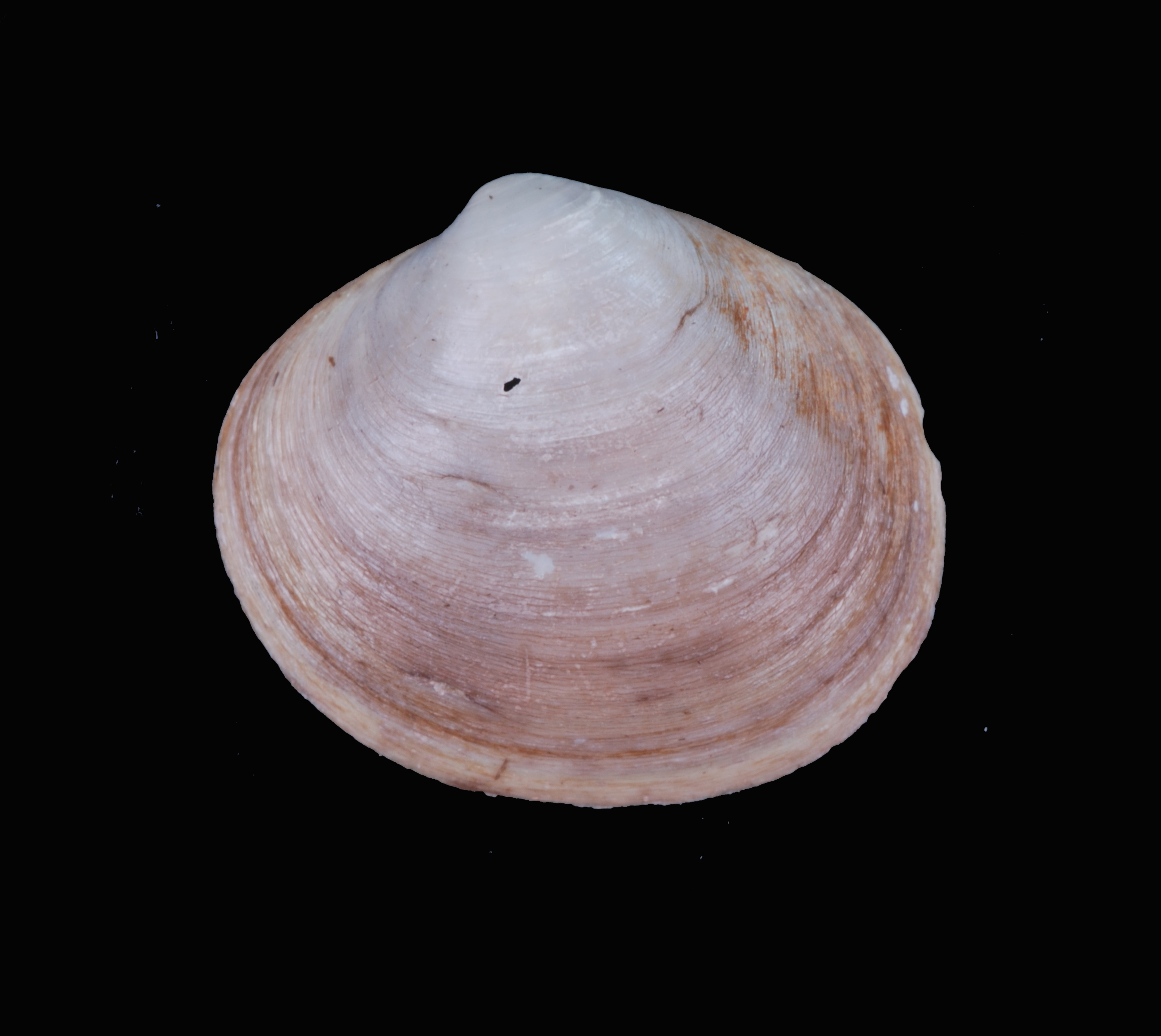 국립생물자원관 한반도의 생물다양성