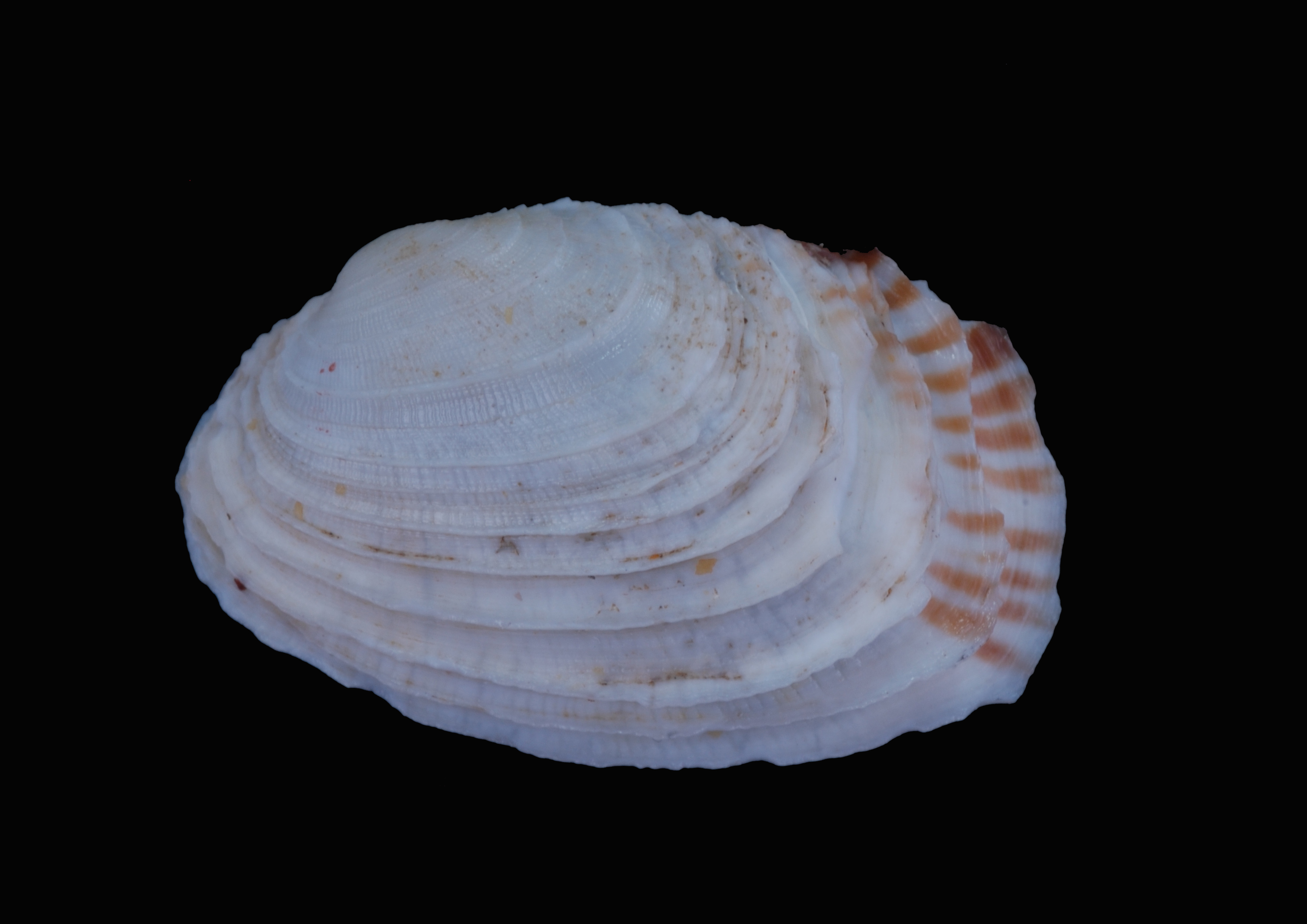 국립생물자원관 한반도의 생물다양성