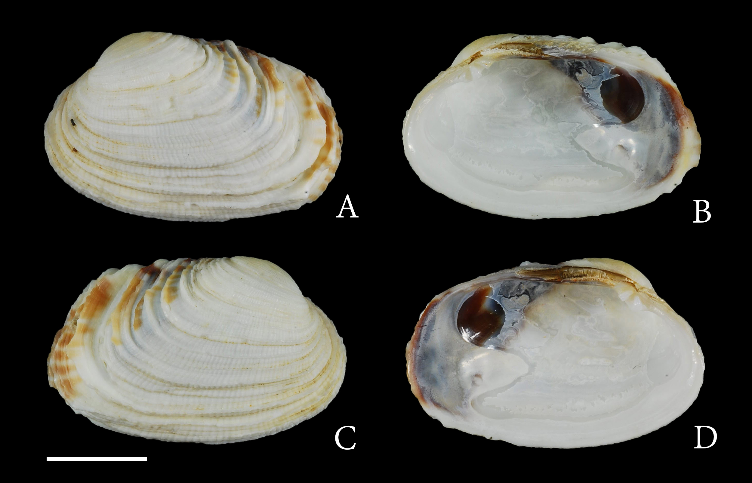 국립생물자원관 한반도의 생물다양성