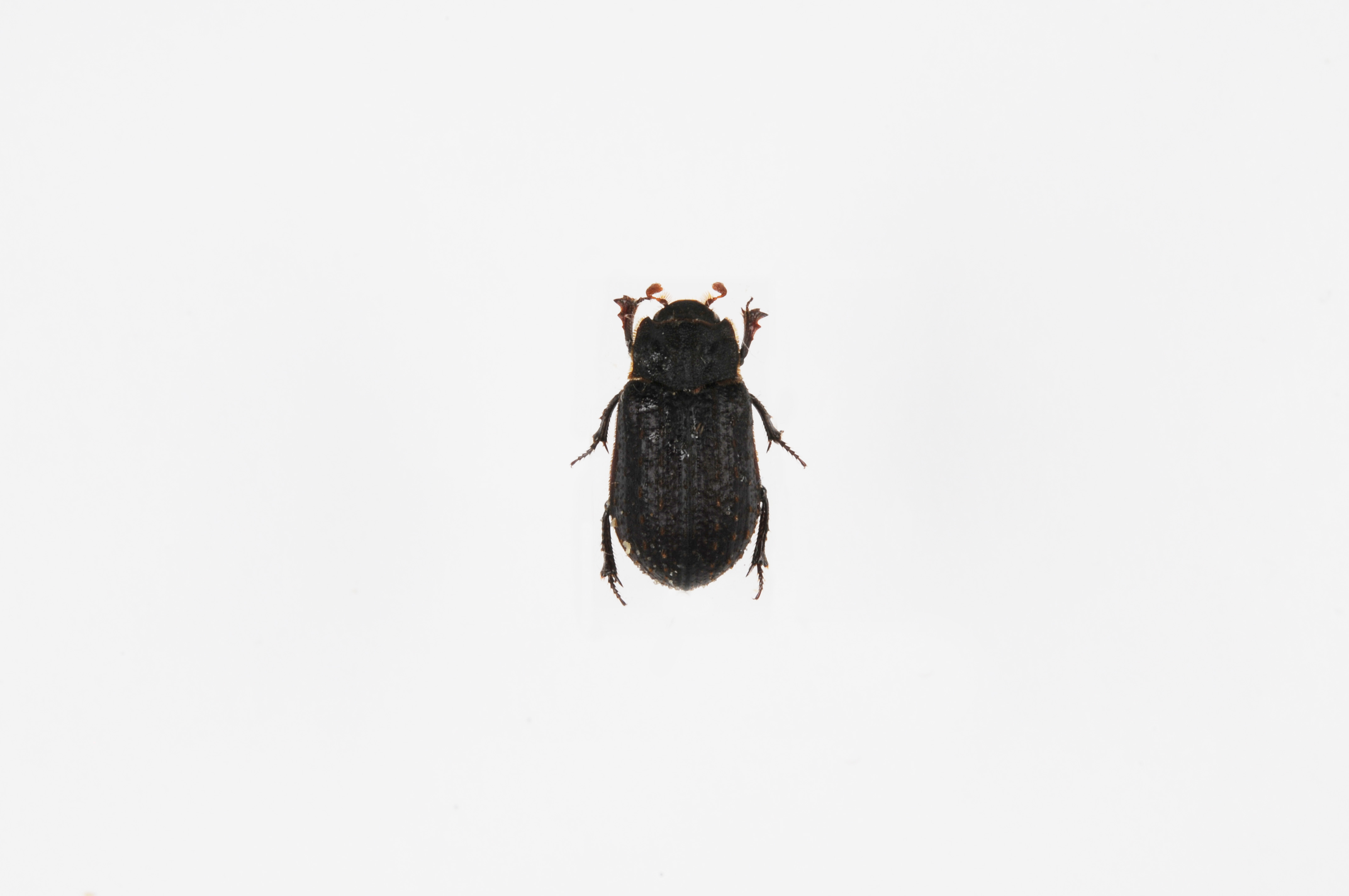 국립생물자원관 한반도의 생물다양성