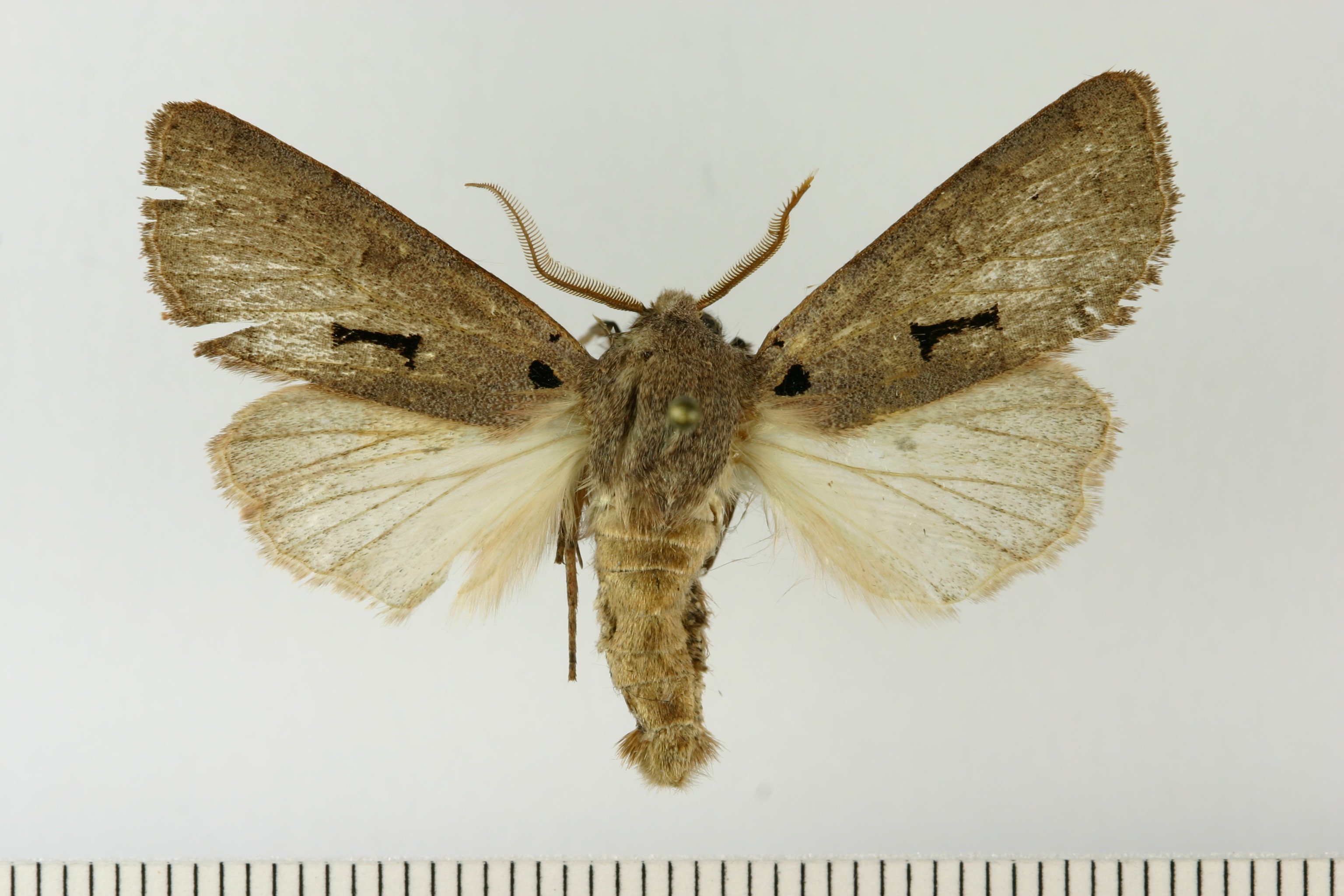 국립생물자원관 한반도의 생물다양성