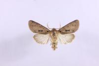 국립생물자원관 한반도의 생물다양성