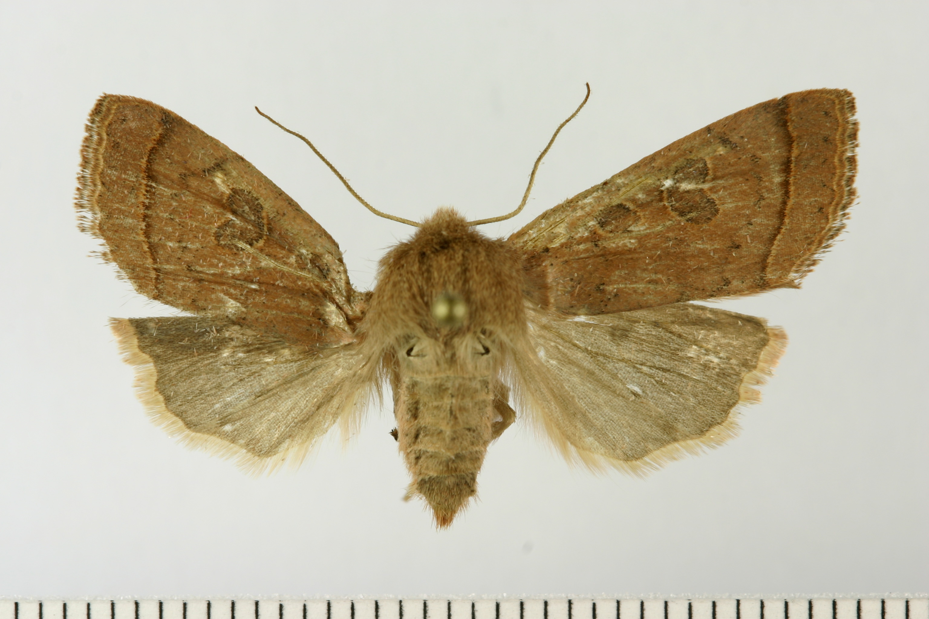 국립생물자원관 한반도의 생물다양성