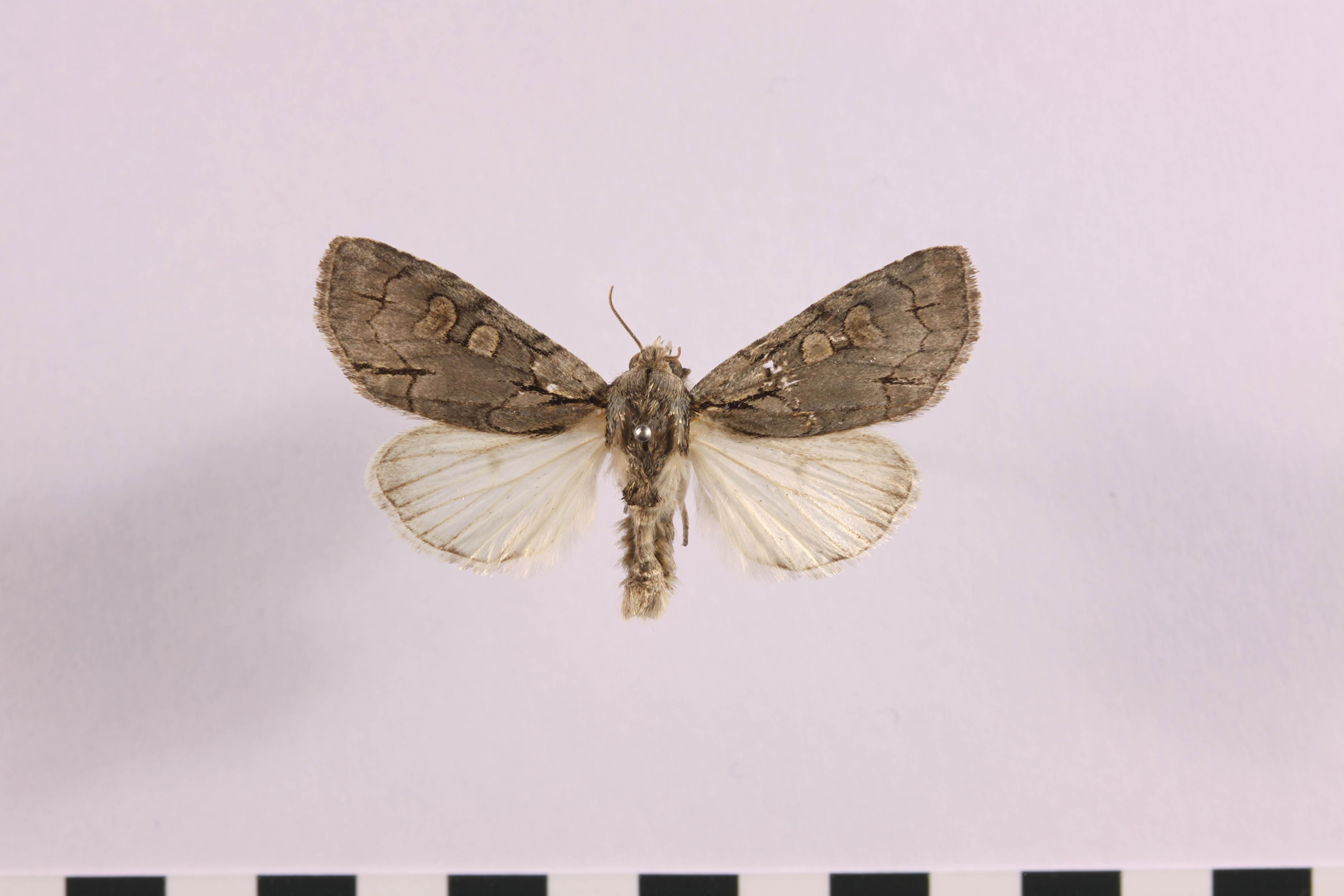 국립생물자원관 한반도의 생물다양성