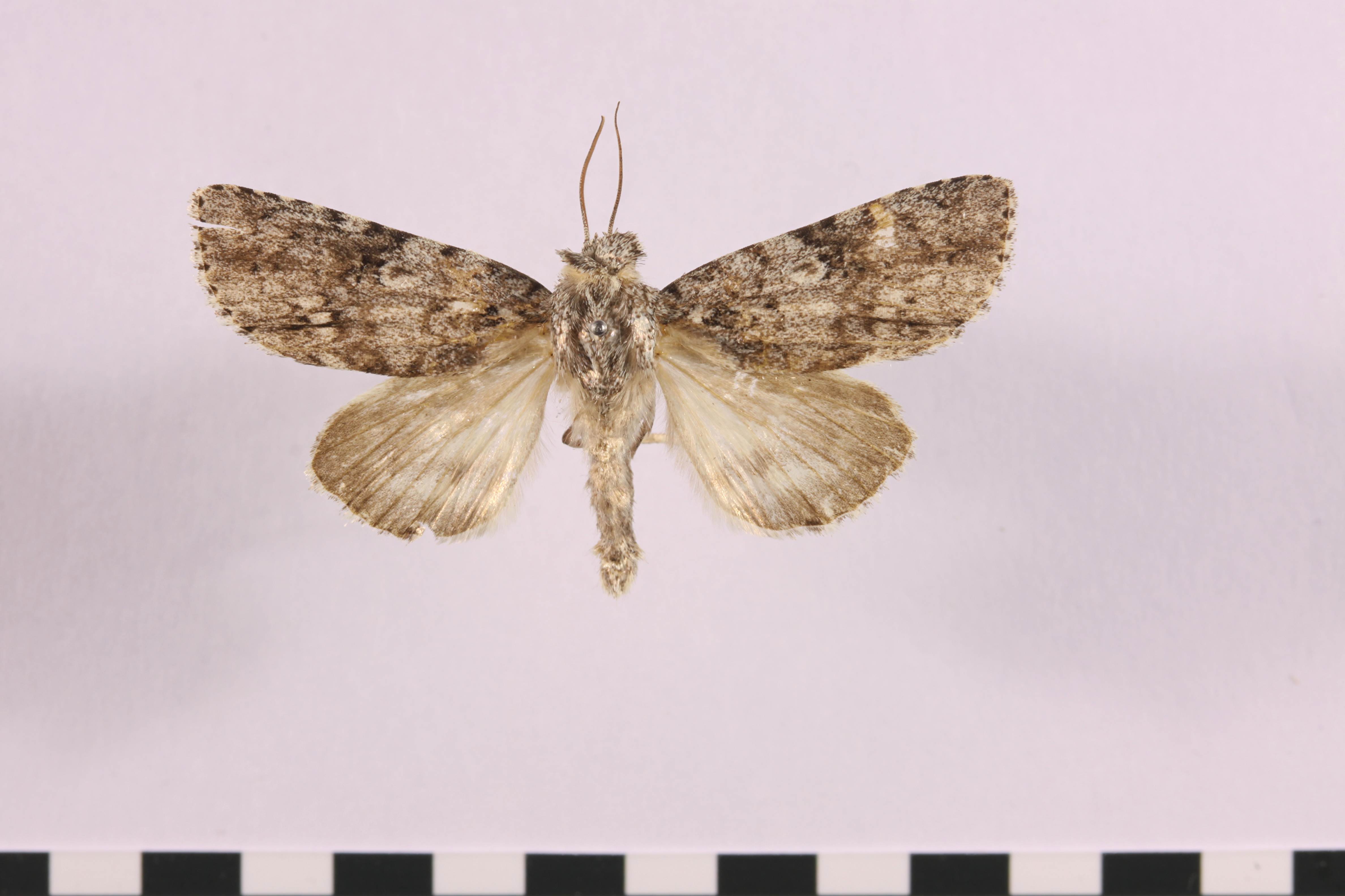 국립생물자원관 한반도의 생물다양성