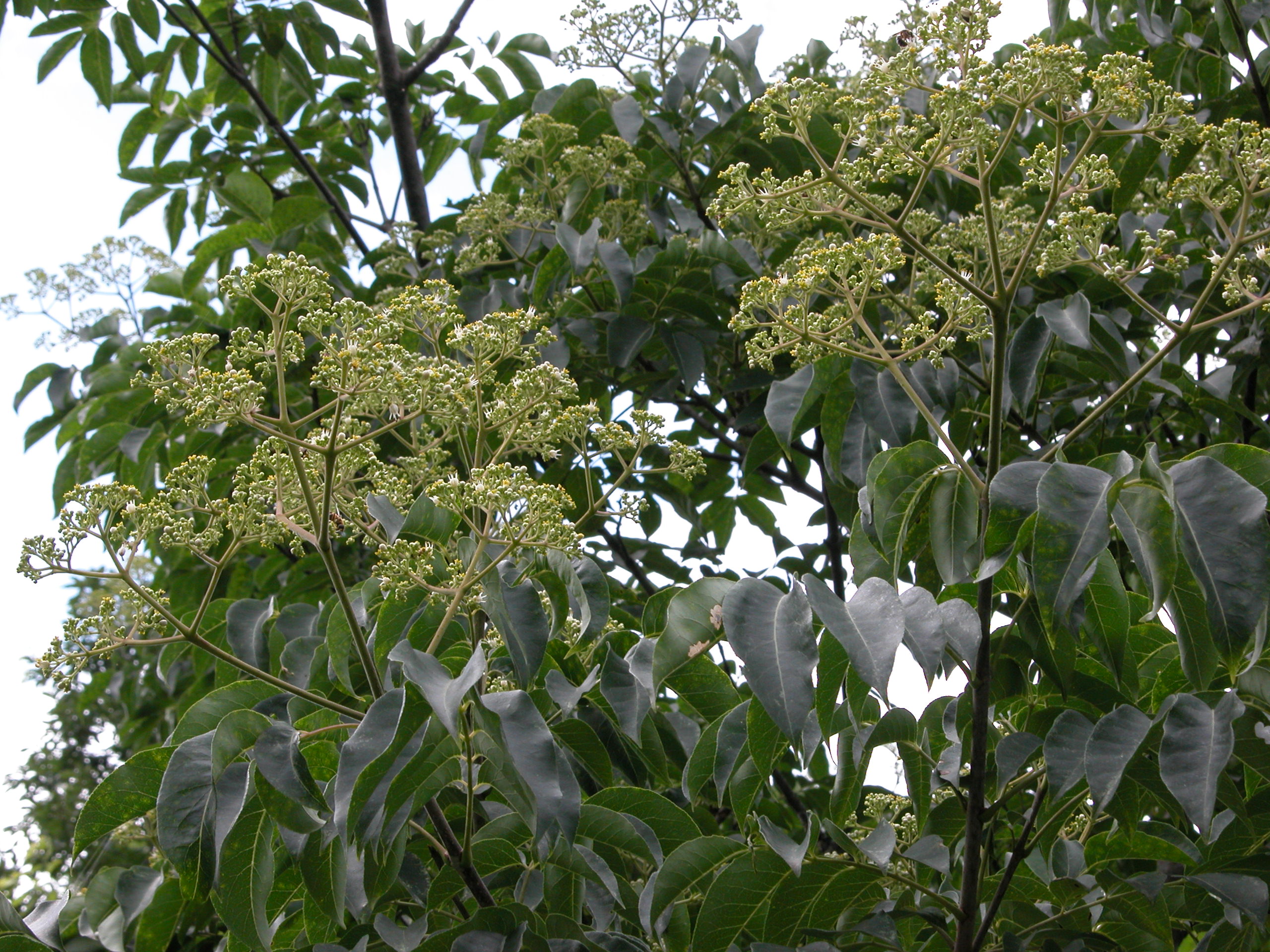 국립생물자원관 한반도의 생물다양성