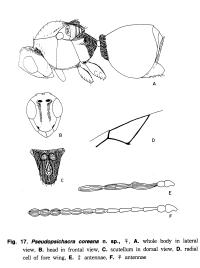 한반도의 생물다양성